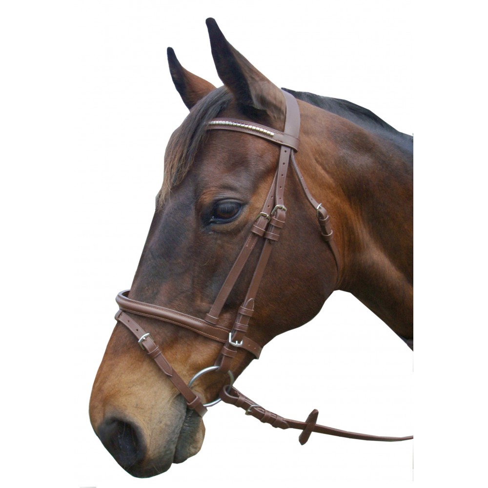 Enzo Comfort + Bridle
