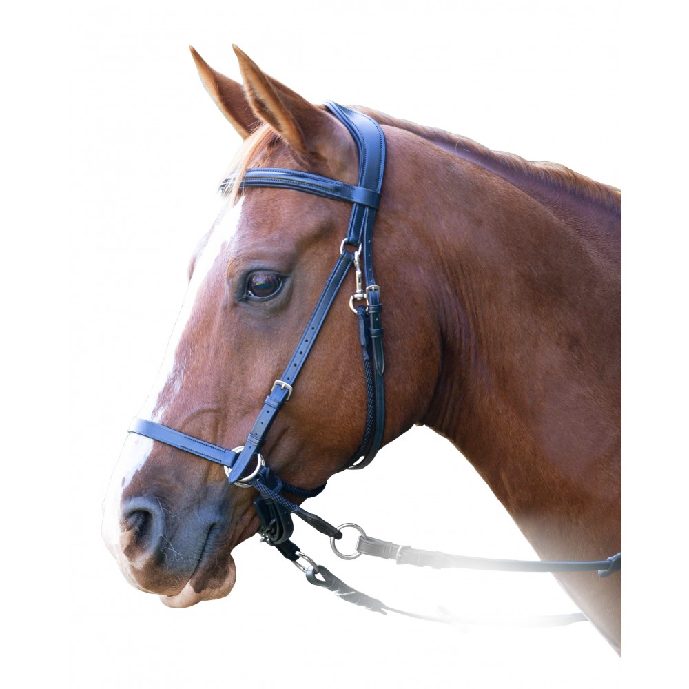 Enzo Prem Bitless Bridle