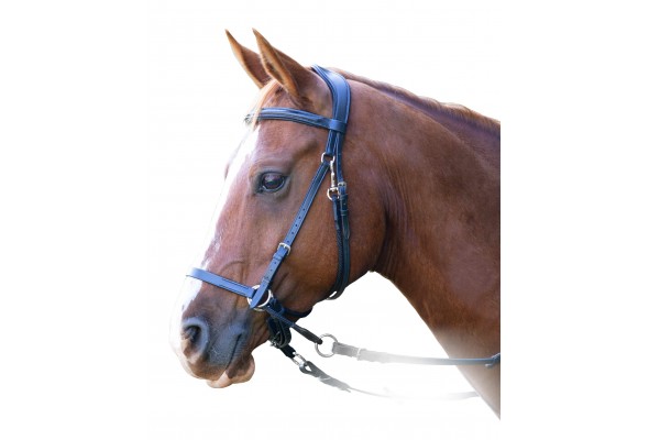 Enzo Prem Bitless Bridle