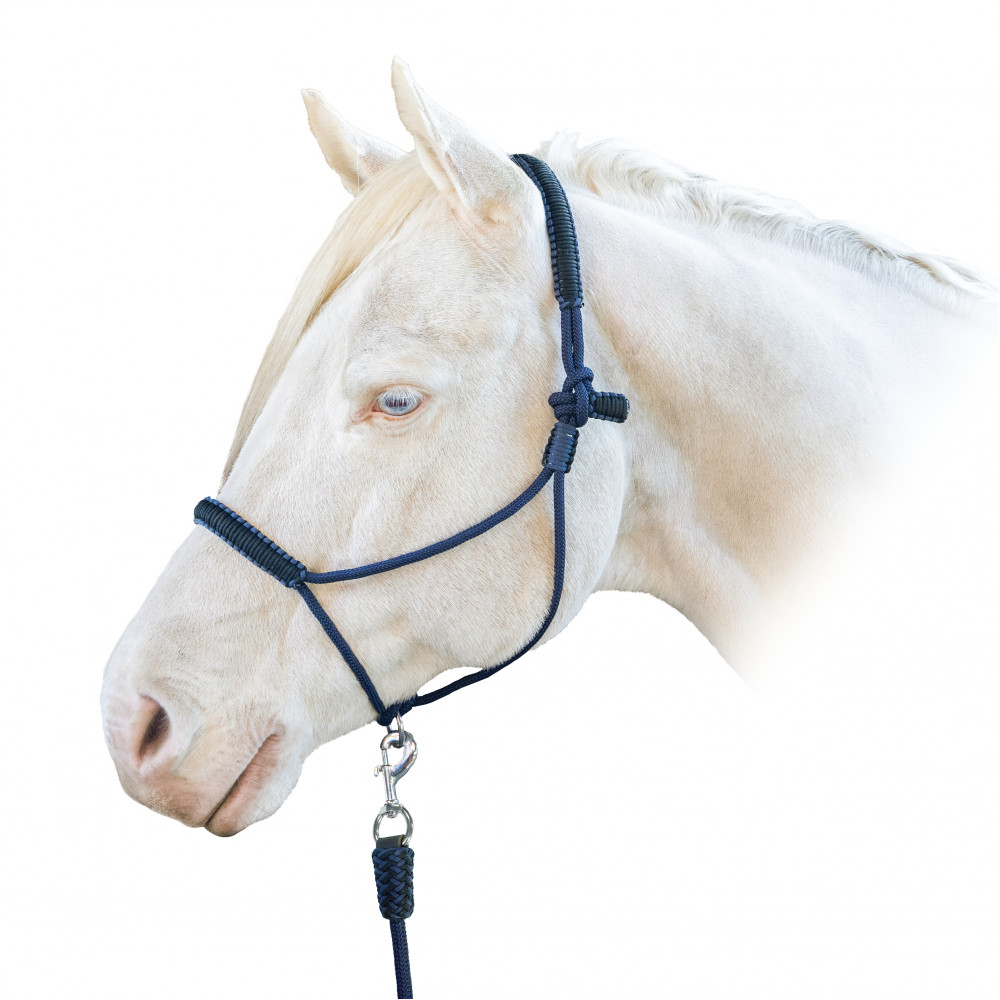 Enzo Braided Rope Halter Set